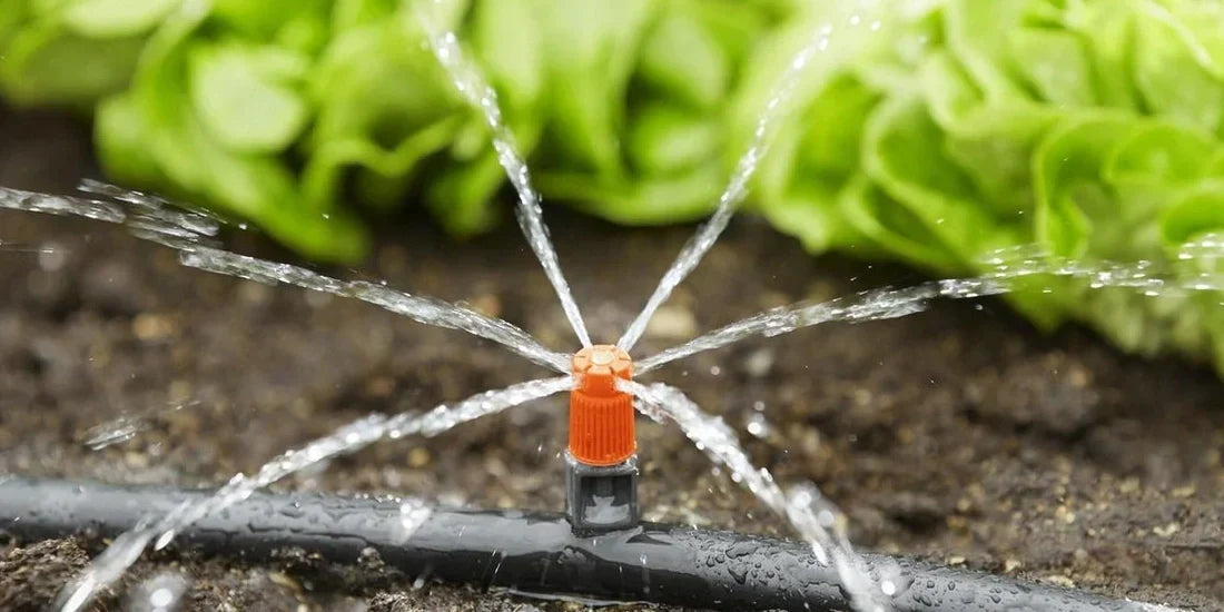 Perfect Greenhouse Watering: Techniques & Timing – ClimaPod Greenhouses