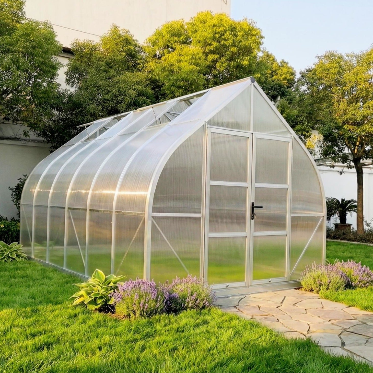Greenhouse Tomatoes: The Complete Growing Guide – ClimaPod Greenhouses